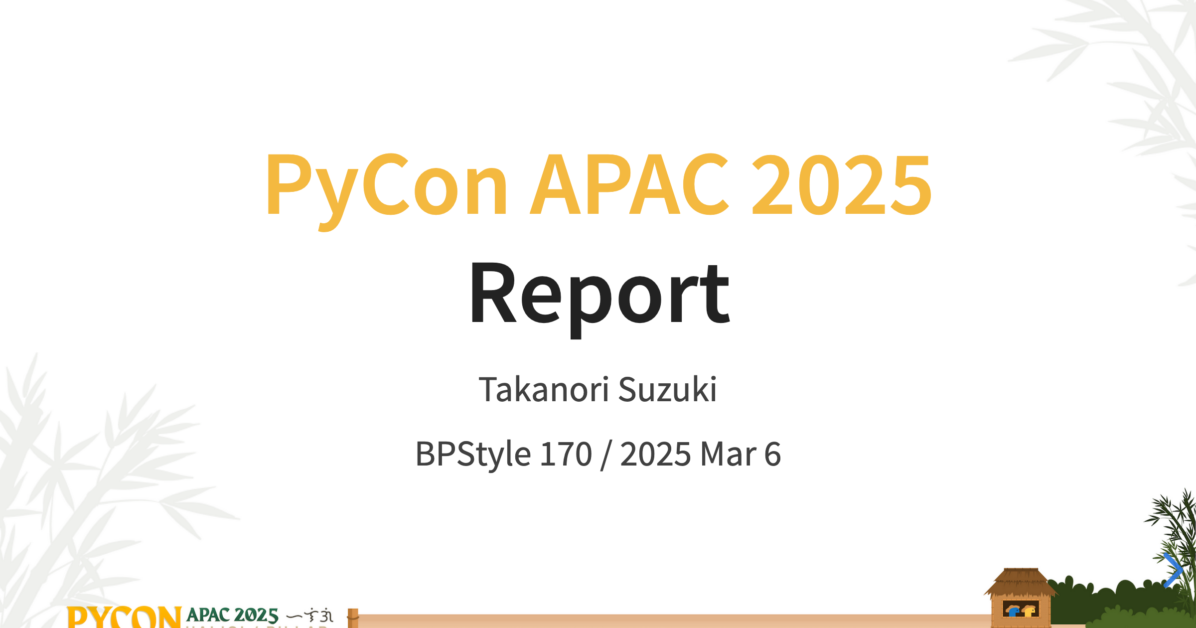 PyCon APAC 2025 Report